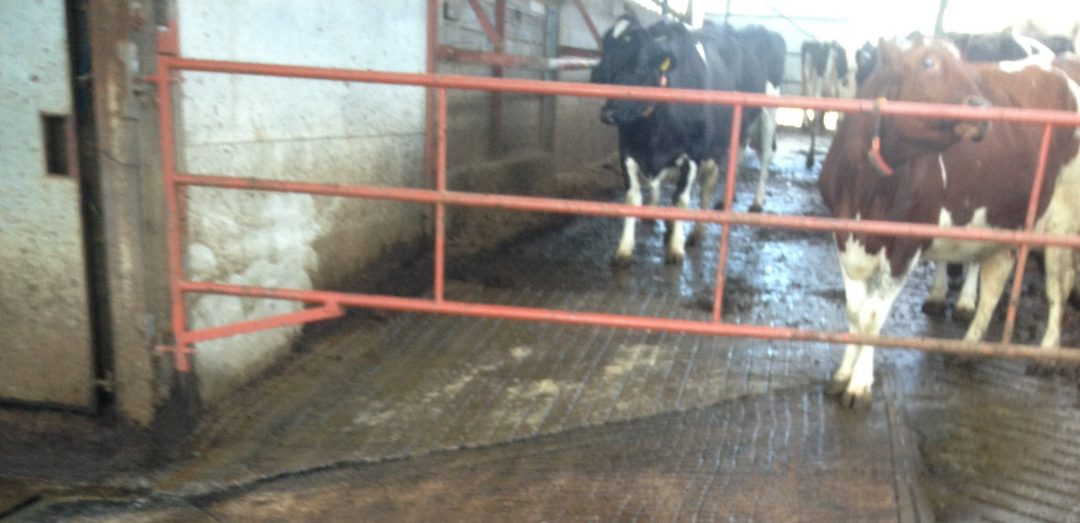 Concrete Scabbling Machine vs Hand Held Scabbler